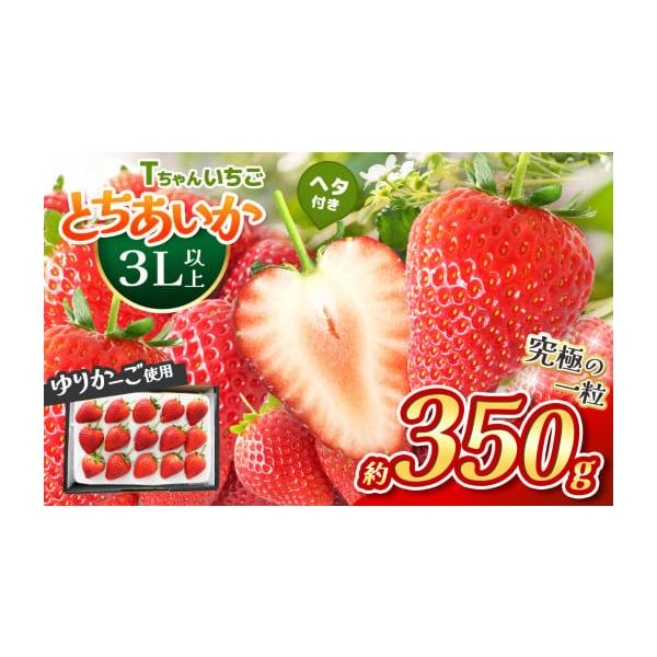 容量とちあいか　350g消費期限※生ものなので早めにお召し上がりください発送期日※ 2026年4月頃にかけて順次発送予定配送冷蔵 時間指定 別送事業者Tちゃんいちご申込条件何度も申し込み可