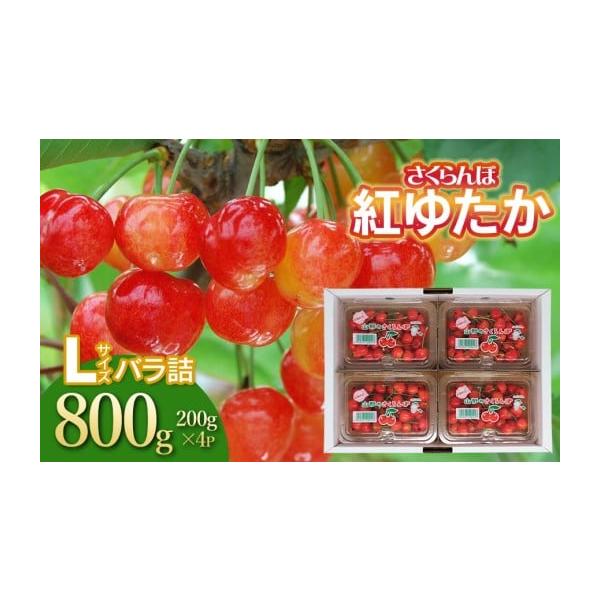 容量紅ゆたか　フードパック　Lサイズ  800g（200g×4P） 【産地名】 山形県鶴岡市産【提供事業者】鈴木さくらんぼ園消費期限生ものですので、お早めにお召し上がり下さい。発送期日令和8年6月上旬〜6月中旬頃発送予定※天候や発育状況によ...