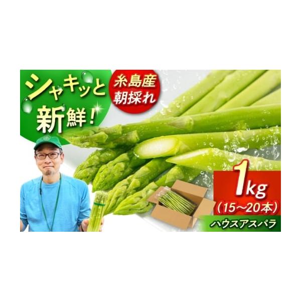 容量内容量：1kg  本数   ：目安15-20本  サイズ：S-L混合（径8-26mm）  長さ   ：約25-27cm  産地   ：福岡県糸島市  栽培   ：ハウス慣行栽培  発送   ：クール冷蔵便【原料原産地】福岡県糸島市産消費...