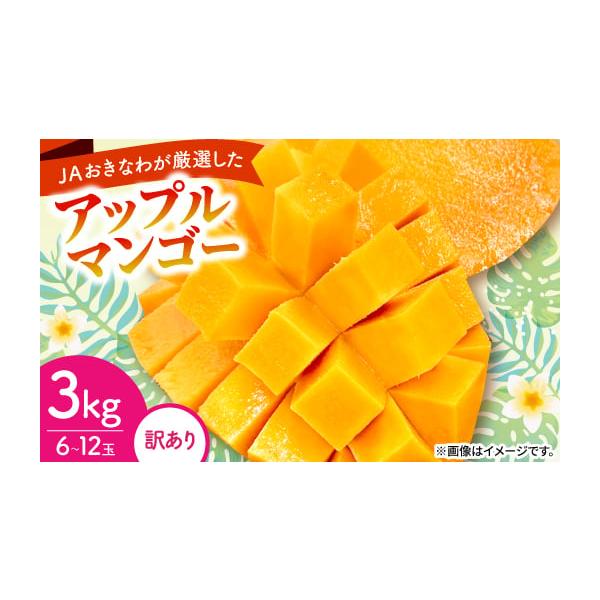 容量■お礼品の内容について・アップルマンゴー[3.0kg(6〜12玉)]製造地:沖縄県中城村消費期限■賞味期限:出荷日+7日発送期日2026／06／20〜2026／08／15　※離島にはお届けできません。配送冷蔵 別送申込期日〜2026-0...