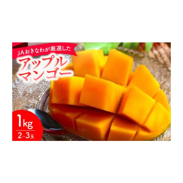 容量■お礼品の内容について・アップルマンゴー[1kg(2〜3玉)]製造地:沖縄県中城村消費期限■賞味期限:出荷日+7日発送期日2026／06／20〜2026／07／31　※離島にはお届けできません。配送冷蔵 別送申込期日〜2026-06-3...