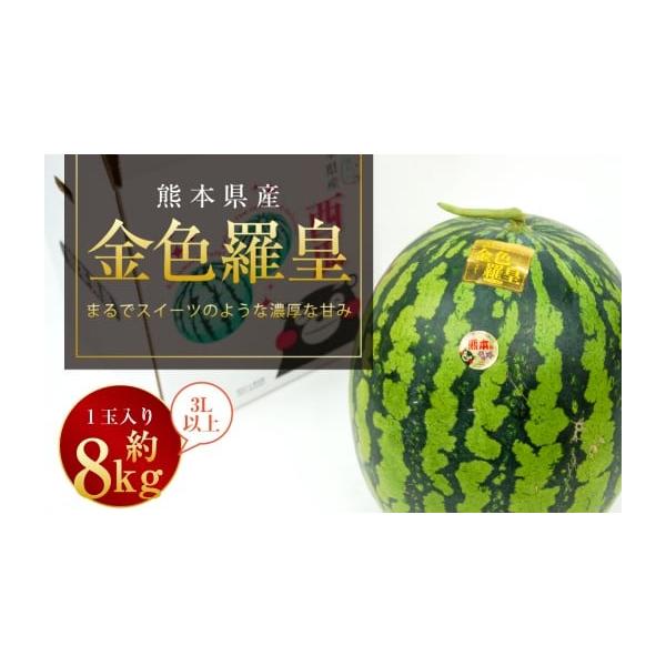 容量1玉 3L以上 約8kg消費期限賞味期限：発送日から5日以内発送期日2026年5月上旬〜2026年6月下旬発送予定配送常温 時間指定 別送申込期日〜2026／05／20事業者日本フルーツ株式会社申込条件何度も申し込み可