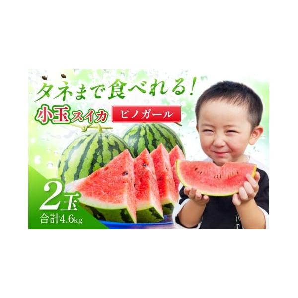 容量すいか2L　2玉 合計4.6kg以上消費期限4日発送期日2026年6月上旬より順次発送予定配送常温 時間指定 別送申込期日〜2026年6月10日まで事業者芝農園申込条件何度も申し込み可