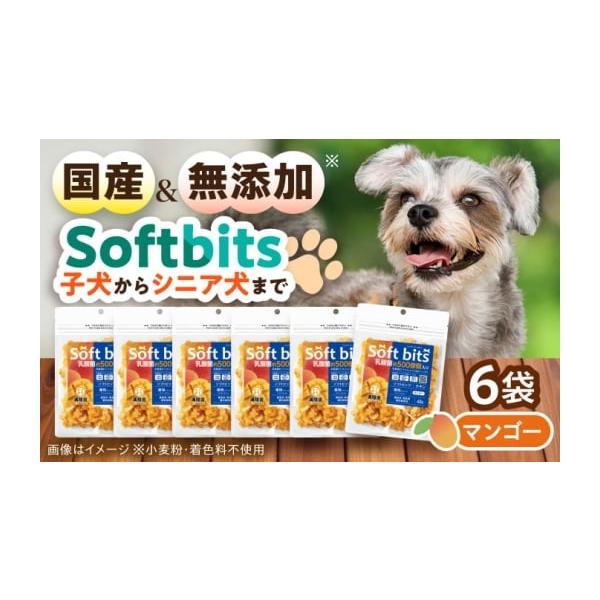 容量40g×6パックセット【成分】マンゴーはカリウムを多く含んでいるので、摂取過多になったナトリウムを体外に排出させる効果があります。そのほかにビタミンA、βカロテン、ビタミンEの老化防止効果が期待できます。老化防止・消化補助・整腸作用に役...