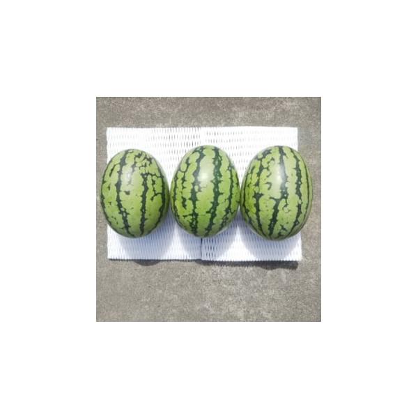 容量■お礼品の内容について・夏を思いっきり楽しむ!シャリ感抜群!スイカ【ぷちっと】[3玉 計約8kg(7.5kg以上)]原産地:静岡県消費期限■賞味期限:出荷日+4日※到着後、すぐにお礼品の状態をご確認のうえ、お早めにお召し上がりください。...