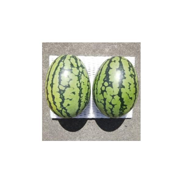 容量■お礼品の内容について・夏を思いっきり楽しむ!シャリ感抜群!スイカ【ぷちっと】[2玉 計約6kg(5.5kg以上)]原産地:静岡県消費期限■賞味期限:出荷日+4日※到着後、すぐにお礼品の状態をご確認のうえ、お早めにお召し上がりください。...