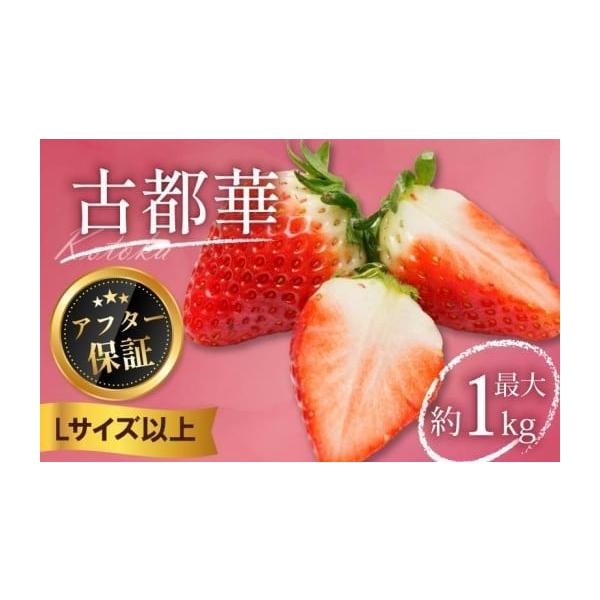 容量【約1kg】：約250g×4パック消費期限発送日から3日程度発送期日2026年1月より順次発送配送冷蔵 別送申込期日2026年4月15日まで※入金期限は申込期限と同日です。事業者もとberry申込条件何度も申し込み可