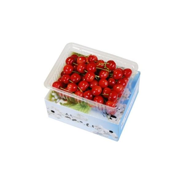 容量500g・秀・L以上消費期限2〜3日程度発送期日2026年6月中旬〜6月下旬 ※生育状況によってお届けが前後する場合がございます。【配達】ヤマト運輸配送冷蔵 のし 時間指定 別送申込期日2026年6月10日まで事業者株式会社 野川ファー...