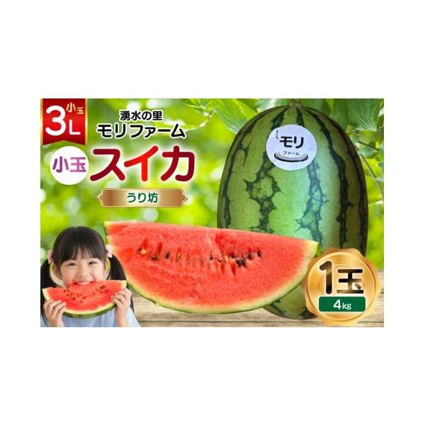 容量小玉スイカ （うり坊）3Lサイズ（4kg）×1玉■原産地長崎県島原市消費期限賞味期限：収穫日より7日程度（冷暗所で保存）※到着後は、お早めにお召し上がりください。発送期日2026年6月10日〜6月20日において順次発送※申込期日：202...