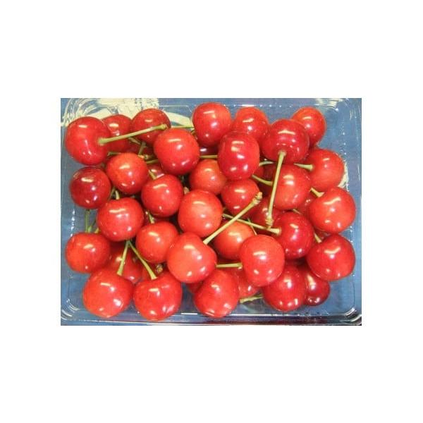 容量佐藤錦　５００ｇ　ＭＬサイズ混合　ご家庭用※小さい粒が入る場合がございます。※サイズの指定はできません。※天候により出荷時期や規格（数、サイズ、品種等）を変更する場合がございます。発送期日２０２６年６月中旬〜６月下旬迄※ご不在日が多く配...