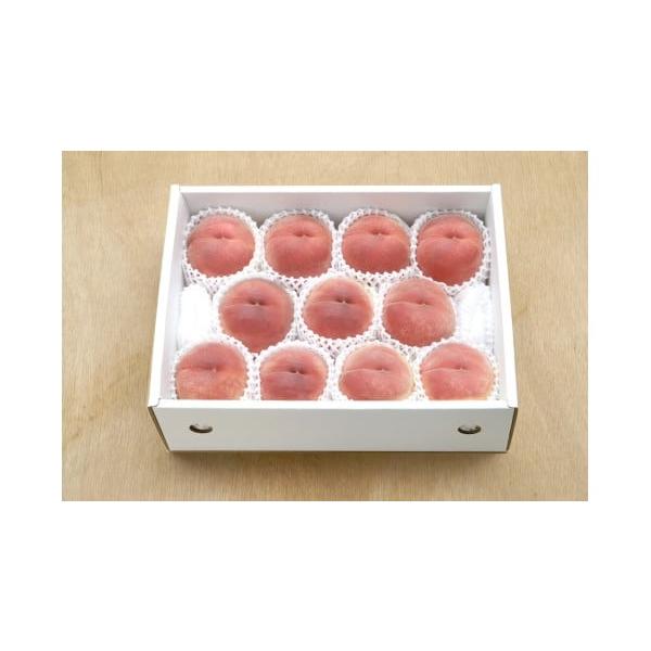 容量3kg(秀8〜12玉)※品種の指定を承る事はできません消費期限1週間程度発送期日2026年9月上旬〜9月中旬配送常温 冷蔵 のし 時間指定 別送申込期日2026年8月10日まで事業者企業組合 スイーツキッチン申込条件何度も申し込み可