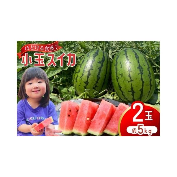 容量小玉スイカ×2玉(計：約5kg)■原産地 長崎島原市消費期限お届けから10日程度発送期日2026年6月前半〜2026年7月後半において順次発送※申込期日：2026年6月末日（決済確認）※申込が集中した場合は、お届けまでお待たせすることが...