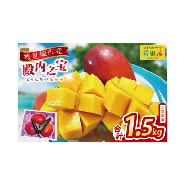 容量豊見城産マンゴー「殿内之宝(どぅんちのたから)」約1.5kg(ご家庭用)消費期限冷蔵で3〜4日(消費期限：冷蔵で7日程度)発送期日2026年7月上旬〜2026年7月下旬頃までご入金確認後、(2026年7月より)準備でき次第順次発送いたし...
