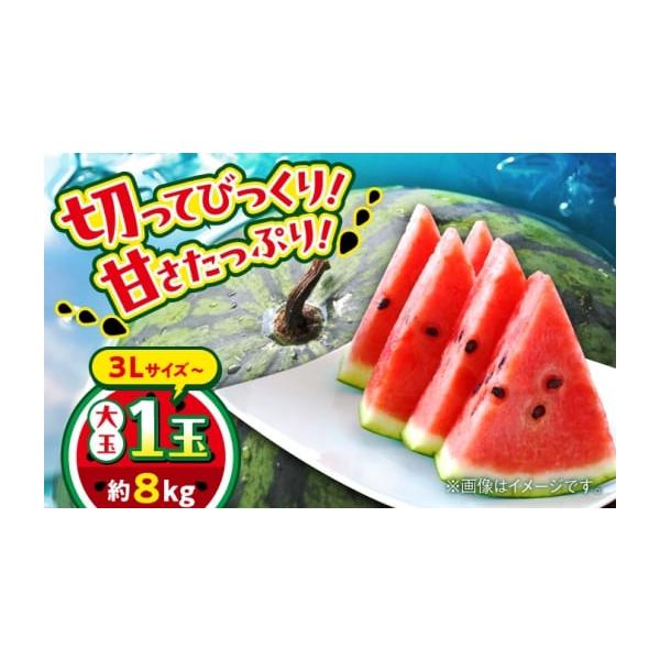 容量3L以上 1玉入り 約8kg【原料原産地】合志市産消費期限【賞味期限】発送から10日以内発送期日ご入金確認後、2026年5月上旬〜6月下旬にかけて順次発送いたします。配送常温 時間指定 別送申込期日6月中旬まで事業者日本フルーツ 株式会...
