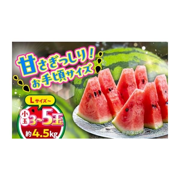 容量L以上 3〜5玉入り 約4.5kg【原料原産地】合志市産消費期限【賞味期限】発送から10日以内発送期日ご入金確認後、2026年4月中旬〜7月下旬にかけて順次発送いたします。配送常温 時間指定 別送申込期日7月中旬まで事業者日本フルーツ ...