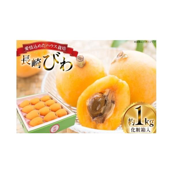 容量約1kg■原産地 長崎県■加工地（製造地）長崎県消費期限青果品ですのでお早めにお召し上がり下さい。発送期日2026年3月前半〜2026年4月前半において順次発送※申込期日：2026年3月15日（決済確認）※申込が集中した場合は、お届けま...