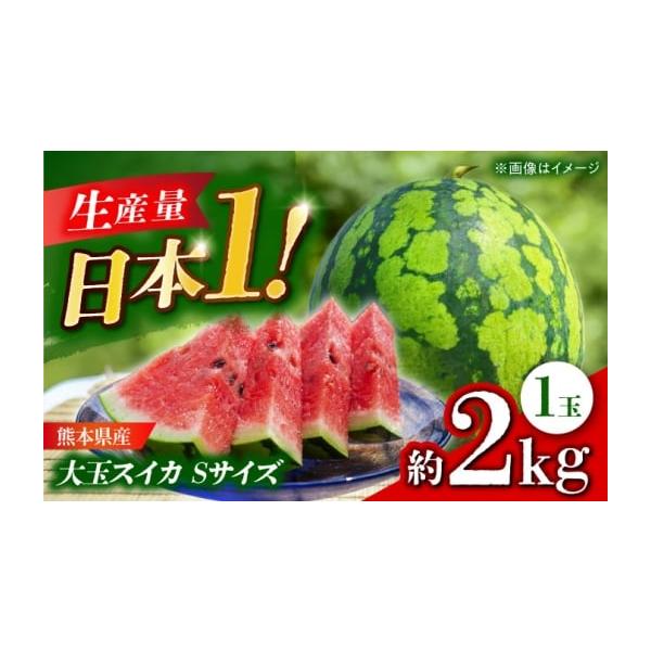 容量約2kg(1玉入)　【原料原産地】山鹿市産消費期限【賞味期限】配送から5日間発送期日ご入金確認後、【2026年】5月上旬〜6月下旬にかけて順次発送いたします。配送常温 時間指定 別送申込期日6月中旬まで事業者日本フルーツ株式会社申込条件...