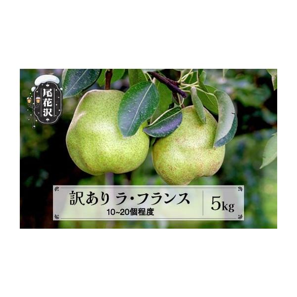 容量訳あり ラ・フランス 無印品 約5kg(10〜20個程度)※見た目に少しキズやサビがある訳あり品になります。とろける甘さと芳醇な香りは変わりません。消費期限到着後、お早めにお召し上がりください。発送期日令和8年11月上旬~下旬頃発送※季...