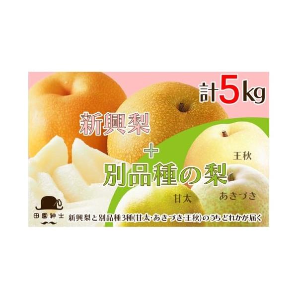容量新興梨と、あきづき・甘太・王秋の3種のうち1種の計2種合わせて約5kg（14〜17玉程度）消費期限【賞味期限】出荷日から15日間【保存方法】10℃以下で保存発送期日【配送可能期間】2026年9月下旬〜11月中旬発送【配送不可地域】北海道...