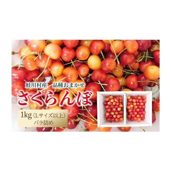 容量品種おまかせ　Lサイズ以上 1kg（500g×2P）消費期限発送日含め2〜3日程度※受取後は、すぐに商品の状態をご確認ください。発送より2日以上かかった場合の地域の方は、ご到着日にはお召し上がりください。発送期日令和8年6月中旬〜7月上...