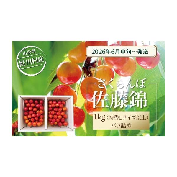 容量佐藤錦　バラ詰め　1kg（500g×2P）　特秀Ｌ以上消費期限発送日含め2〜3日程度※受取後は、すぐに商品の状態をご確認ください。発送より2日以上かかった場合の地域の方は、ご到着日にはお召し上がりください。発送期日令和8年6月中旬〜下旬...