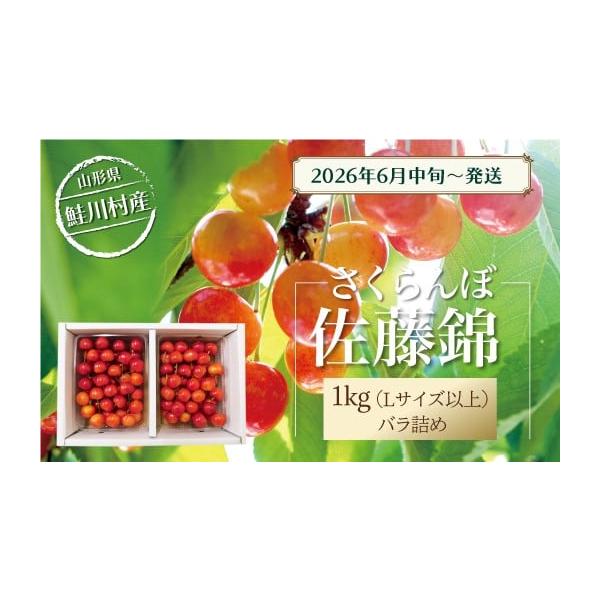 容量佐藤錦　バラ詰め　1kg（500g×2P）　Ｌ以上消費期限発送日含め2〜3日程度※受取後は、すぐに商品の状態をご確認ください。発送より2日以上かかった場合の地域の方は、ご到着日にはお召し上がりください。発送期日令和8年6月中旬〜下旬頃　...
