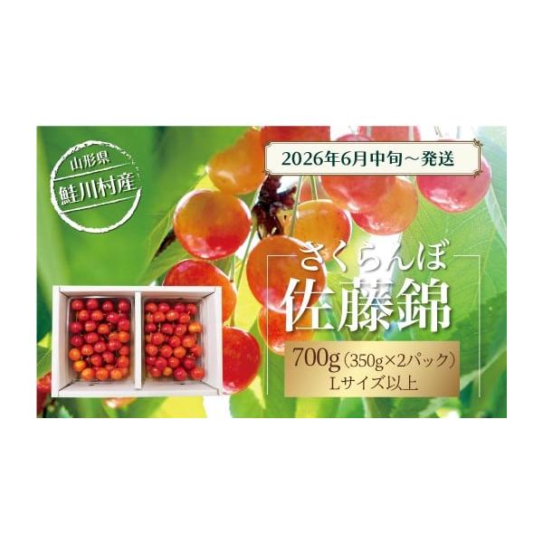容量佐藤錦　バラ詰め　700g（350g×2P）　Ｌ以上消費期限発送日含め2〜3日程度※受取後は、すぐに商品の状態をご確認ください。発送より2日以上かかった場合の地域の方は、ご到着日にはお召し上がりください。発送期日令和8年6月中旬〜下旬頃...
