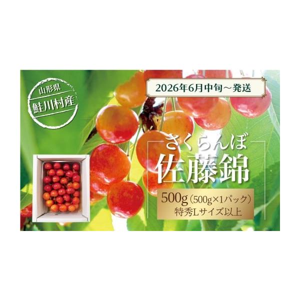 容量佐藤錦　バラ詰め　500g　特秀Ｌ以上消費期限発送日含め2〜3日程度※受取後は、すぐに商品の状態をご確認ください。発送より2日以上かかった場合の地域の方は、ご到着日にはお召し上がりください。発送期日令和8年6月中旬〜下旬頃　※受付順に発...