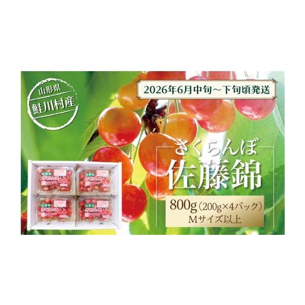 容量佐藤錦　800g（200g×4P）　M以上消費期限発送日含め2〜3日程度※受取後は、すぐに商品の状態をご確認ください。発送より2日以上かかった場合の地域の方は、ご到着日にはお召し上がりください。発送期日令和8年6月中旬〜下旬頃　※受付順...