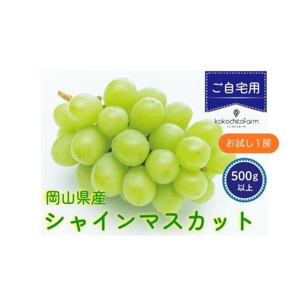 容量真庭市産 シャインマスカット　ご自宅用　1房　500g以上消費期限到着後は冷蔵庫で保管し、お早目にお召し上がりください。発送期日9月中旬〜11月中旬(天候により前後する場合があります)お申し込み順に発送いたします。※配達日の指定はできま...