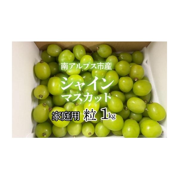 容量シャインマスカット家庭用粒 1kg【提供事業者】フルーツパーク斎庵消費期限発送より7日発送期日2026年8月下旬〜10月上旬（季節の物なので期間内に配送します）※離島、沖縄県にはお届けできない返礼品です。配送冷蔵 別送申込期日2026年...