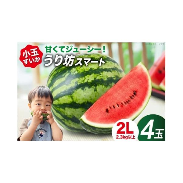 容量うり坊スマート 2Lサイズ（2.3〜2.8kg）×4玉／箱　約10kg■原産地 長崎県島原市消費期限賞味期限 : 一週間以内発送期日2026年5月後半〜2026年6月前半において順次発送※申込期日：2026年5月15日（決済確認）※申込...