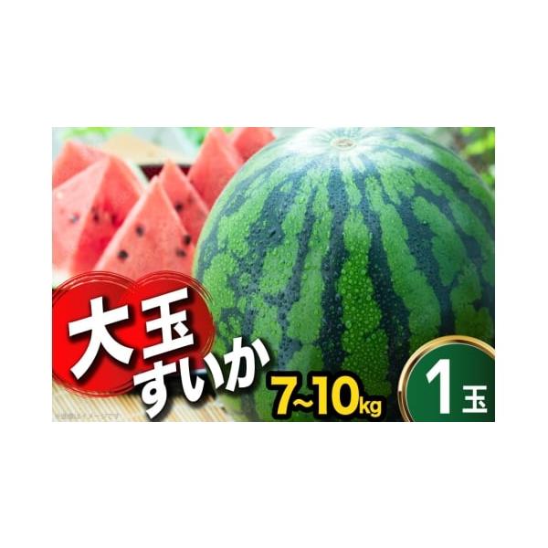 容量大玉スイカ 2L〜3Lサイズ（7〜10kg） 1玉■原産地 長崎県島原市消費期限賞味期限 : 発送から一週間以内発送期日2026年5月後半〜2026年6月前半において順次発送※申込期日：2026年5月15日（決済確認）※申込が集中した場...