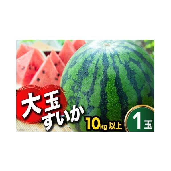 容量大玉スイカ 4Lサイズ（10kg以上） 1玉■原産地 長崎県島原市消費期限賞味期限 : 一週間以内発送期日2026年5月後半〜2026年6月前半において順次発送※申込期日：2026年5月15日（決済確認）※申込が集中した場合は、お届けま...
