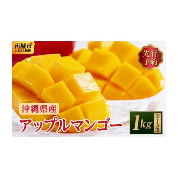 容量アップルマンゴー　約1kg総個数：2〜3玉保存方法：到着後冷蔵庫で冷やしてください。※数量限定になりますので申込数が予定数に達し次第締め切らせて頂きます。※玉数の指定はできません。消費期限到着後はなるべくお早めに召し上がりください。発送...