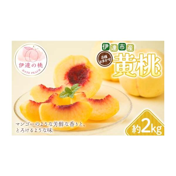 容量黄桃 品種おまかせ 約2kg (4〜7玉)※「黄金桃」「黄貴妃」「きららのきわみ」よりいずれか、品種の指定は出来ません。※収穫状況により発送時期が前後するため、前もって発送日を確定しにくい状況について何卒ご理解いただければ幸いです。※沖...