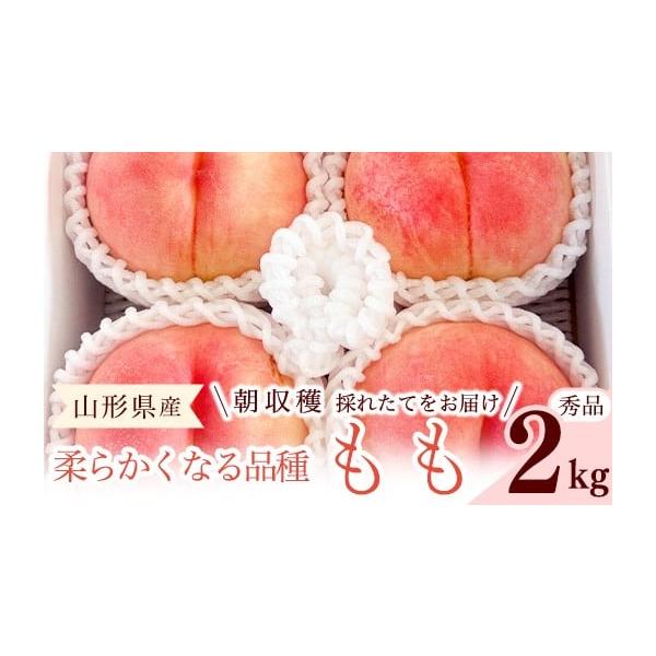 容量2026年産（令和8年産）山形県産（寒河江市産）※令和8年産の先行予約品です。柔らかくなる白桃 品種おまかせ 秀品 2kg「あかつき、いけだ白桃、川中島白桃、紅錦香、まどか、陽夏妃、青空むすめ」などから１品種※品種、サイズ、玉数の指定は...
