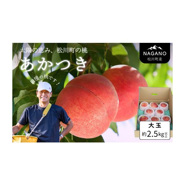 容量【先行予約】2026年発送大玉 約2.5kg以上（6玉）消費期限冷蔵庫に保管し、なるべくお早めにお召し上がりください。発送期日2026年7月中旬頃から発送（予定）※気候により配送時期に変動がある可能性がございます。なお、農家直送のため出...