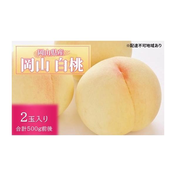 容量岡山 白桃 2玉入り 合計500g前後 岡山県産岡山県内産（5条8号ハ）※品種の指定、お届け日、時期の指定は申し訳ございませんがお受けできません。記載しています発送時期内で順次配送させていただきます。※果物は大変傷みやすいフルーツです。...