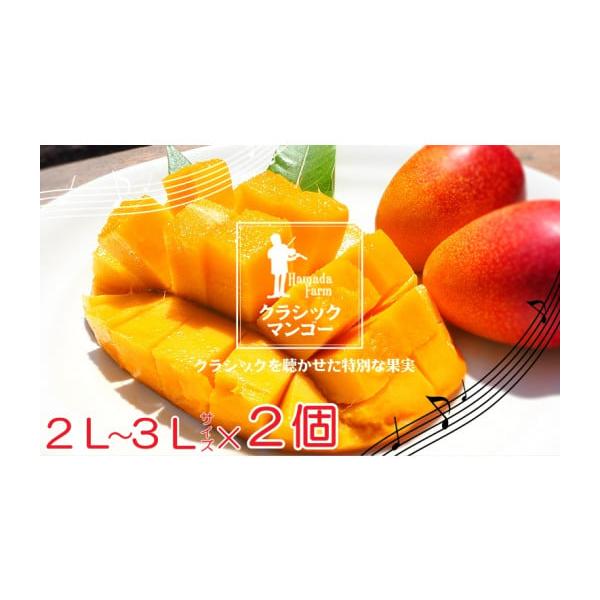 容量完熟クラシックマンゴー：400g〜500g × 2個（2026年6月中旬頃から収穫でき次第発送致します）消費期限賞味期限：青果物到着後すぐ（3日）発送期日2026年6月中旬頃から収穫でき次第順次発送いたします！楽しみにお待ちください！※...