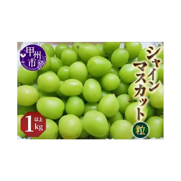 容量シャインマスカット（粒）1kg以上消費期限到着次第、お早めにお召し上がりください。発送期日2026年9月上旬〜10月中旬頃、順次発送予定※天候や収穫状況により出荷に変動がございます。（※北海道・沖縄・離島へのお届けはできかねております）...