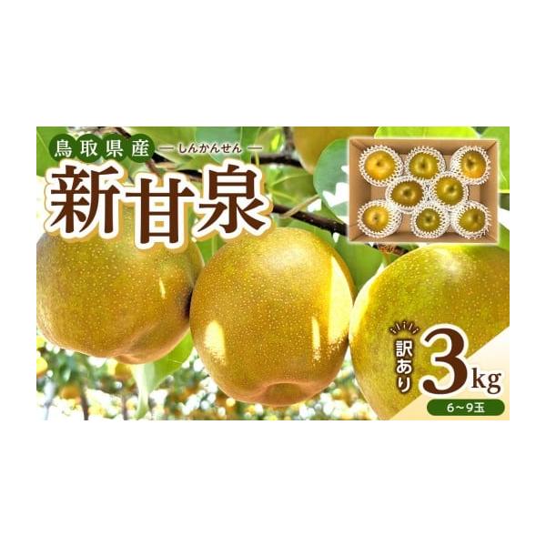 容量新甘泉 　訳あり・3kg（6〜9玉）消費期限常温で約1週間程度※冷蔵保存していただく場合は、10日前後を目安にお召し上がりください【保存方法】常温発送期日8月下旬より順次発送配送常温 時間指定 別送申込期日〜2026年8月31日まで　※...