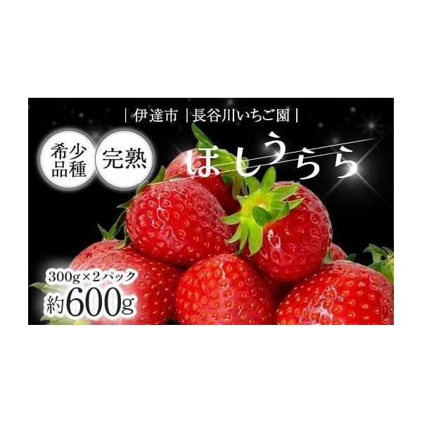 容量ほしうらら 約600g（300g×2 パック）消費期限出荷日をいれて4日以内発送期日2025年12月上旬から2026年3月下旬頃まで順次発送配送冷蔵 時間指定 別送申込期日2026年2月28日まで事業者長谷川いちご園申込条件何度も申し込...