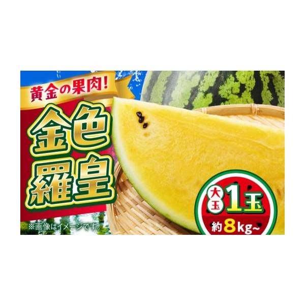 容量1玉入り 約8kg以上【原料原産地】熊本県産消費期限【賞味期限】発送から10日以内発送期日ご入金確認後、2026年5月上旬〜6月下旬にかけて順次発送いたします。配送常温 時間指定 別送申込期日6月中旬まで事業者日本フルーツ 株式会社申込...