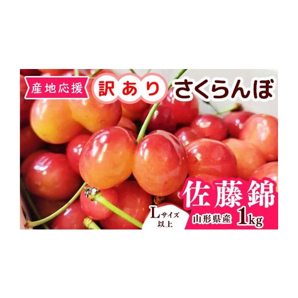 容量2026年産（令和8年産）山形県寒河江市産※令和8年産の先行予約品です。令和7年 高温障害による双子果入りさくらんぼ産地応援キャンペーン【訳あり】さくらんぼ佐藤錦 L以上 丸秀品（バラ詰）1kg (500g×2パック)※発送時期によって...