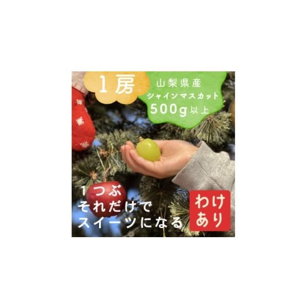 容量■お礼品の内容について・山梨市　シャインマスカット【訳あり】[1房 (500グラム以上)]原産地:山梨県山梨市牧丘町《美味しさや質は贈答用と同じなのに、、、》ちょっとだけ粒の大小がある、房の形がいまひとつ、形の悪い粒を抜いたため隙間があ...