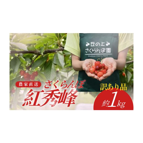 容量1kg発送期日2026年6月中旬〜7月上旬発送予定※その年の気候により配送時期に変動がある可能性がございます。※この期間に長期ご不在がある方はご注文をお控えください。※収穫量不足により、お届けできない事態が発生した場合は品種の変更や翌年...