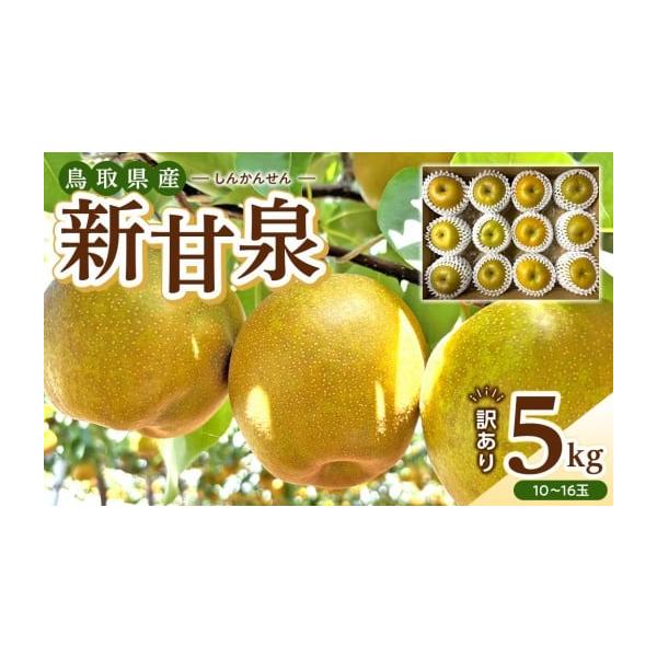 容量新甘泉  5kg原産国／製造国：日本産地（都道府県）：鳥取製造者：東商果樹園　鳥取県東伯郡北栄町六尾247-14消費期限保存方法：常温発送期日8月下旬より順次発送配送常温 時間指定 別送申込期日〜2026年8月31日　※所定の数量に達し...