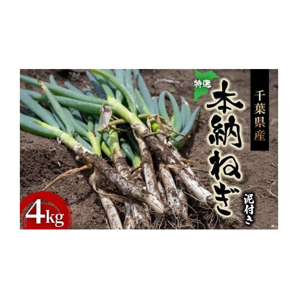 容量泥つきねぎ ４kg消費期限賞味期限：10日発送期日入金確認後、2週間程度で発送配送冷蔵 別送申込期日2026／1／10〜2026／2／10事業者農事組合法人　旬の里ねぎぼうず申込条件何度も申し込み可