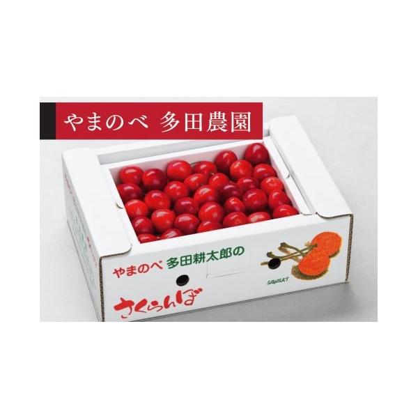 容量山形美人 L-2Lサイズ バラ詰め（パック） 500g×1消費期限【賞味期限】発送日より3日程度※到着後はお早めにお召し上がりください。発送期日6月上旬~6月下旬頃に順次発送※発送時期は、例年の発送時期を記載しております。天候や収穫状況...